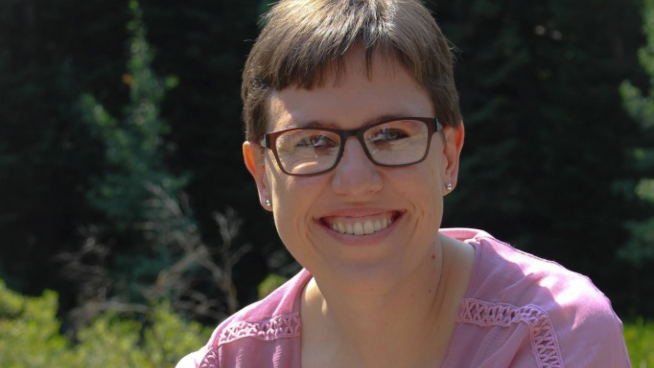 Laura Gamboa | MOE - Misión de Observación Electoral